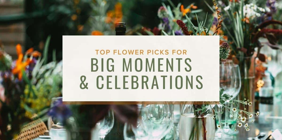 Your Guide to Choosing Symbolic Flowers for Special Events-Flora D ...